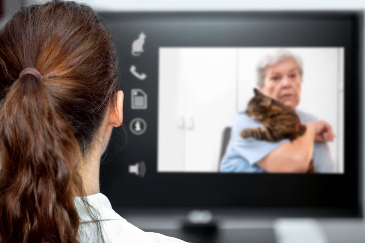 7 Tips For Your First Online Vet Consultation - PetRefine